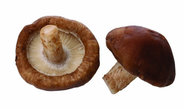 17 Légumes chinois typiques (+ fiches de vocabulaire) - Chinois Tips